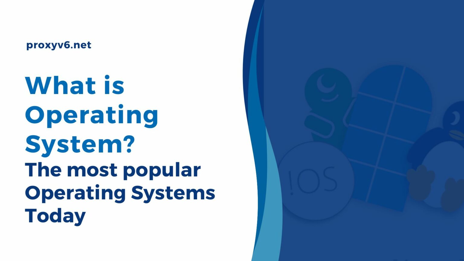 What is the operating system? The most popular operating systems today
